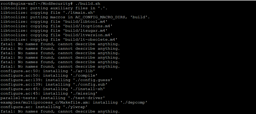 Install Web Application Firewall (WAF) with NGINX Debian 10